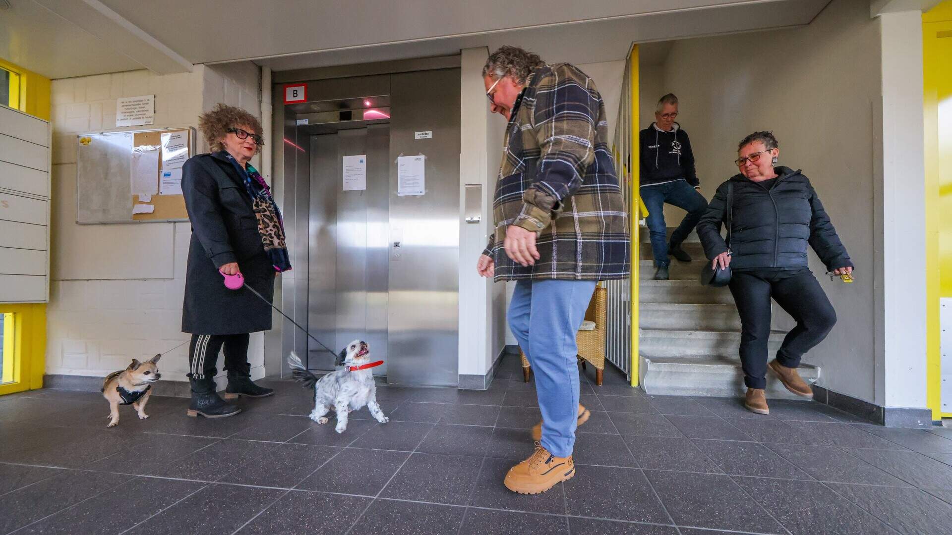 Bewoners seniorenflat Sneek boos op Elkien: ‘Lift al zeker elf weken ...